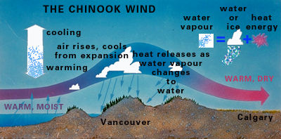 Chinook - The Canadian Encyclopedia