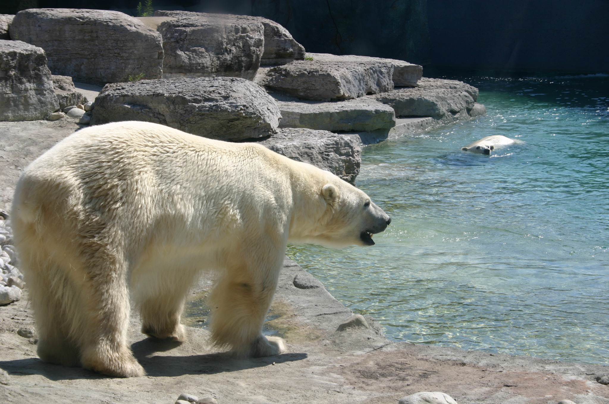 Zoos - The Canadian Encyclopedia
